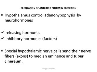 PITUITARY GLAND ANATOMY ENDOCRINE SYSTEM | PPTX