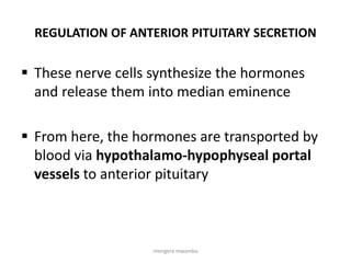 PITUITARY GLAND ANATOMY ENDOCRINE SYSTEM | PPTX