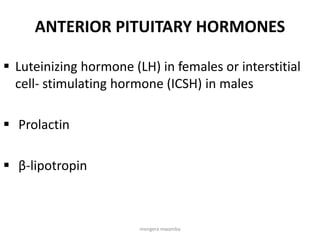PITUITARY GLAND ANATOMY ENDOCRINE SYSTEM | PPT