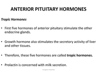 PITUITARY GLAND ANATOMY ENDOCRINE SYSTEM | PPT