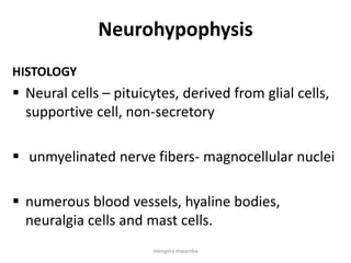 PITUITARY GLAND ANATOMY ENDOCRINE SYSTEM | PPT