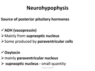 PITUITARY GLAND ANATOMY ENDOCRINE SYSTEM | PPTX