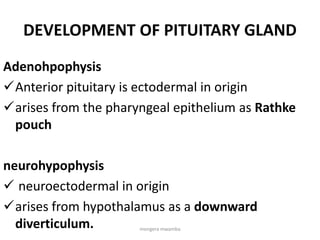 PITUITARY GLAND ANATOMY ENDOCRINE SYSTEM | PPTX