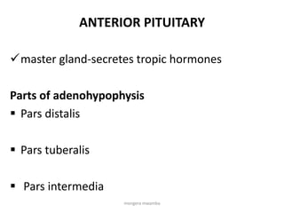 PITUITARY GLAND ANATOMY ENDOCRINE SYSTEM | PPTX