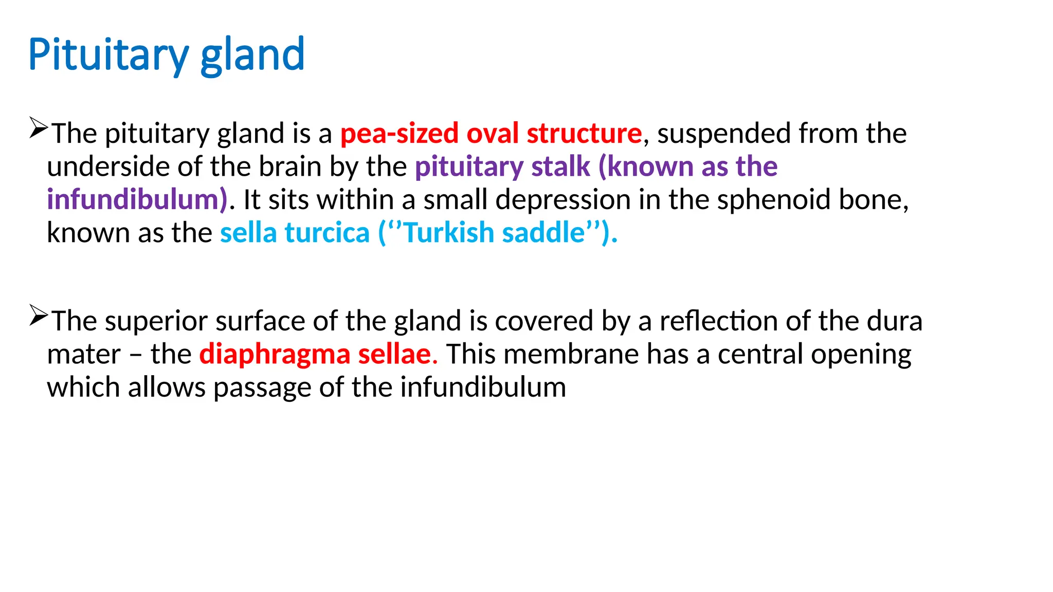 Pituitary gland And It's hormones Explanation.pptx