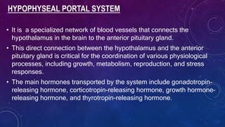Pituitary Gland | PPTX