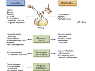 PITUITARY GLAND disorders basics- nursing students.pptx