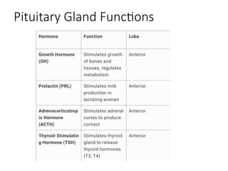 PITUITARY GLAND disorders basics- nursing students.pptx