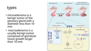 Pituitary gland 2025 [Autosaved].cccpptx | PPTX
