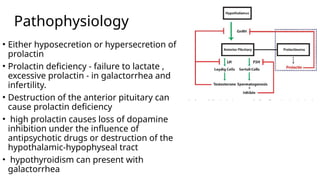 Pituitary gland 2025 [Autosaved].cccpptx | PPTX