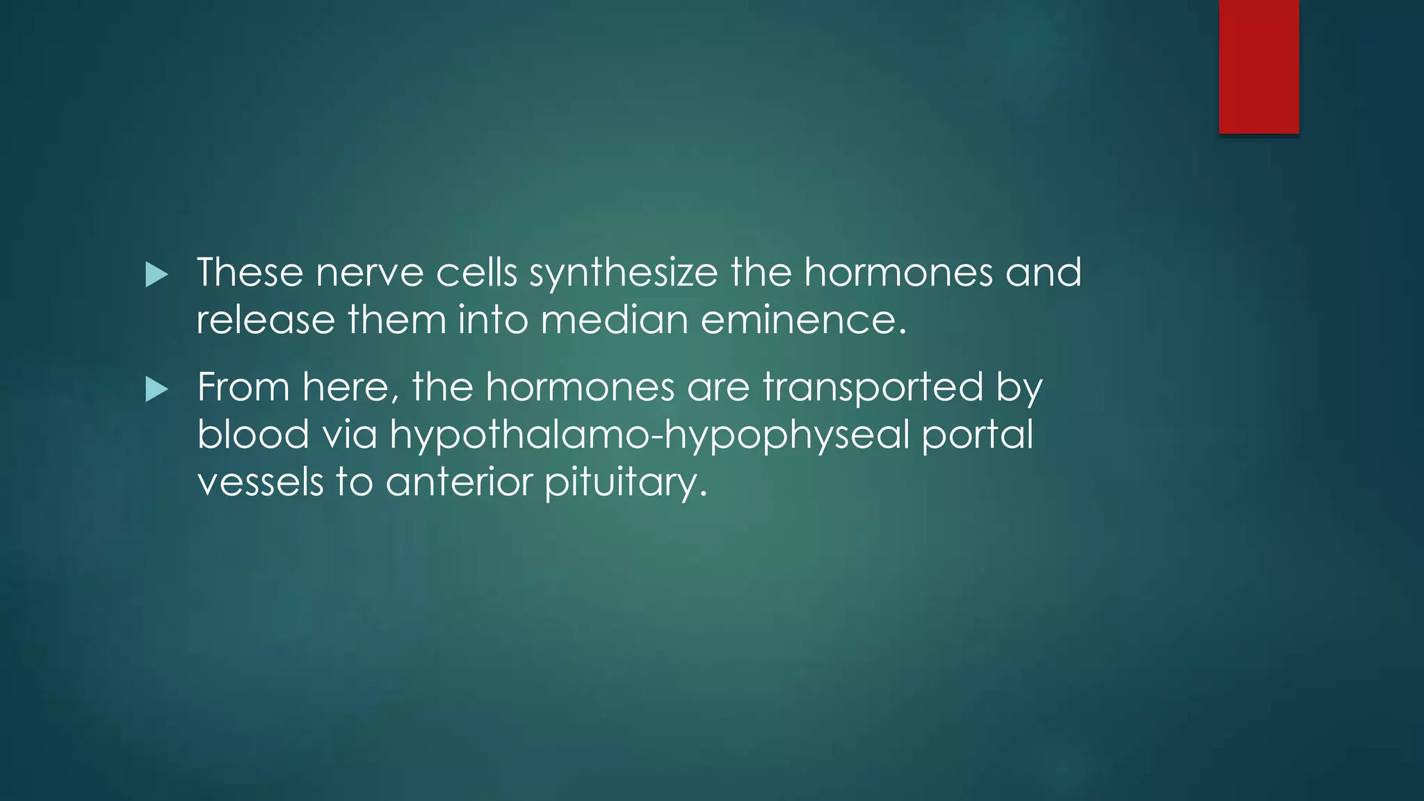 Pituitary gland (anatomy) | PPTX