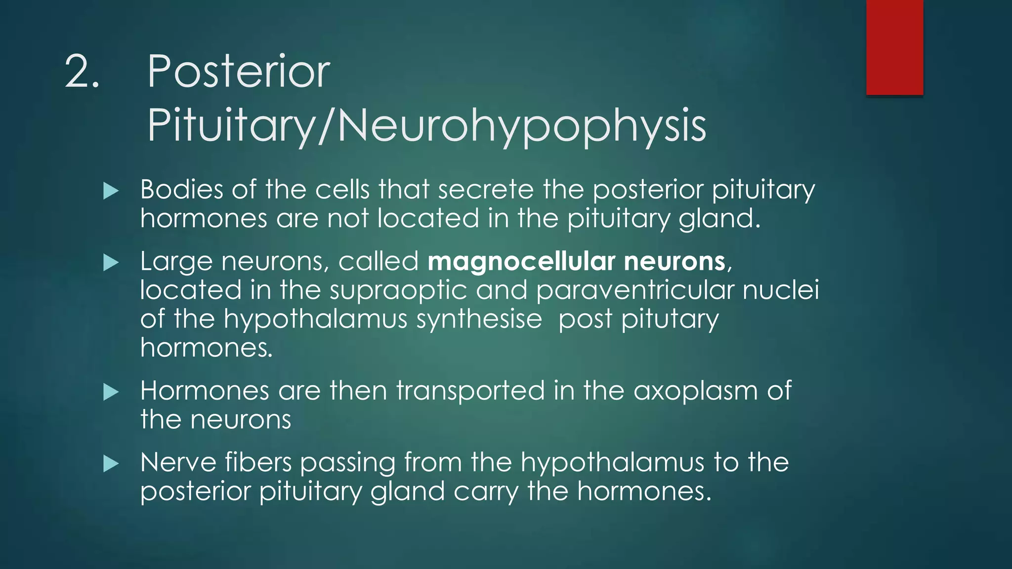 Pituitary gland (anatomy) | PPTX