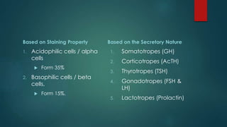 Pituitary gland (anatomy) | PPTX