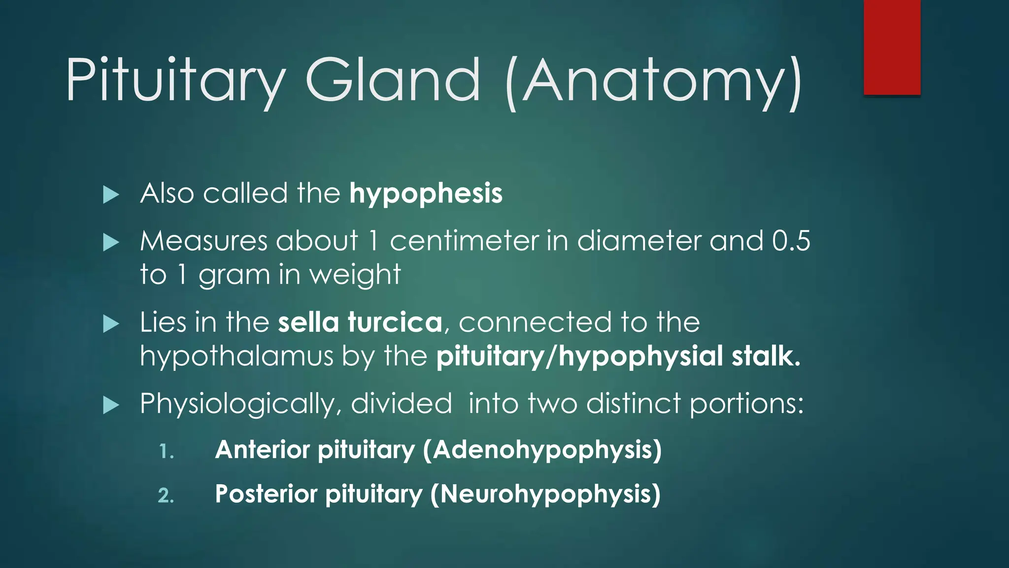 Pituitaryglandanatomy Pdf