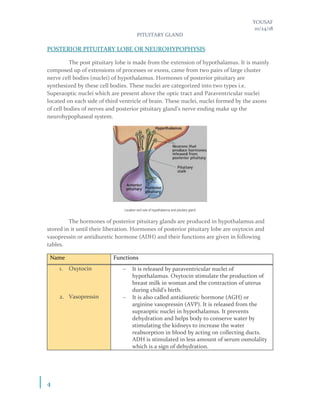 Pituitary Gland, its Hormones and Functions | PDF