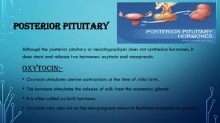 Pituitary gland by Tarus hi Agarwal.pptx