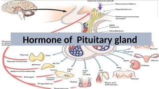 pituitary gland disorder, Hypopituitarism and Hyperpituitarism | PPTX