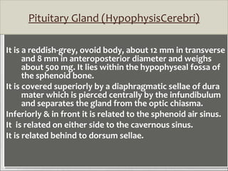 Pituitary Hormones And Their Hypothalamic Ppt