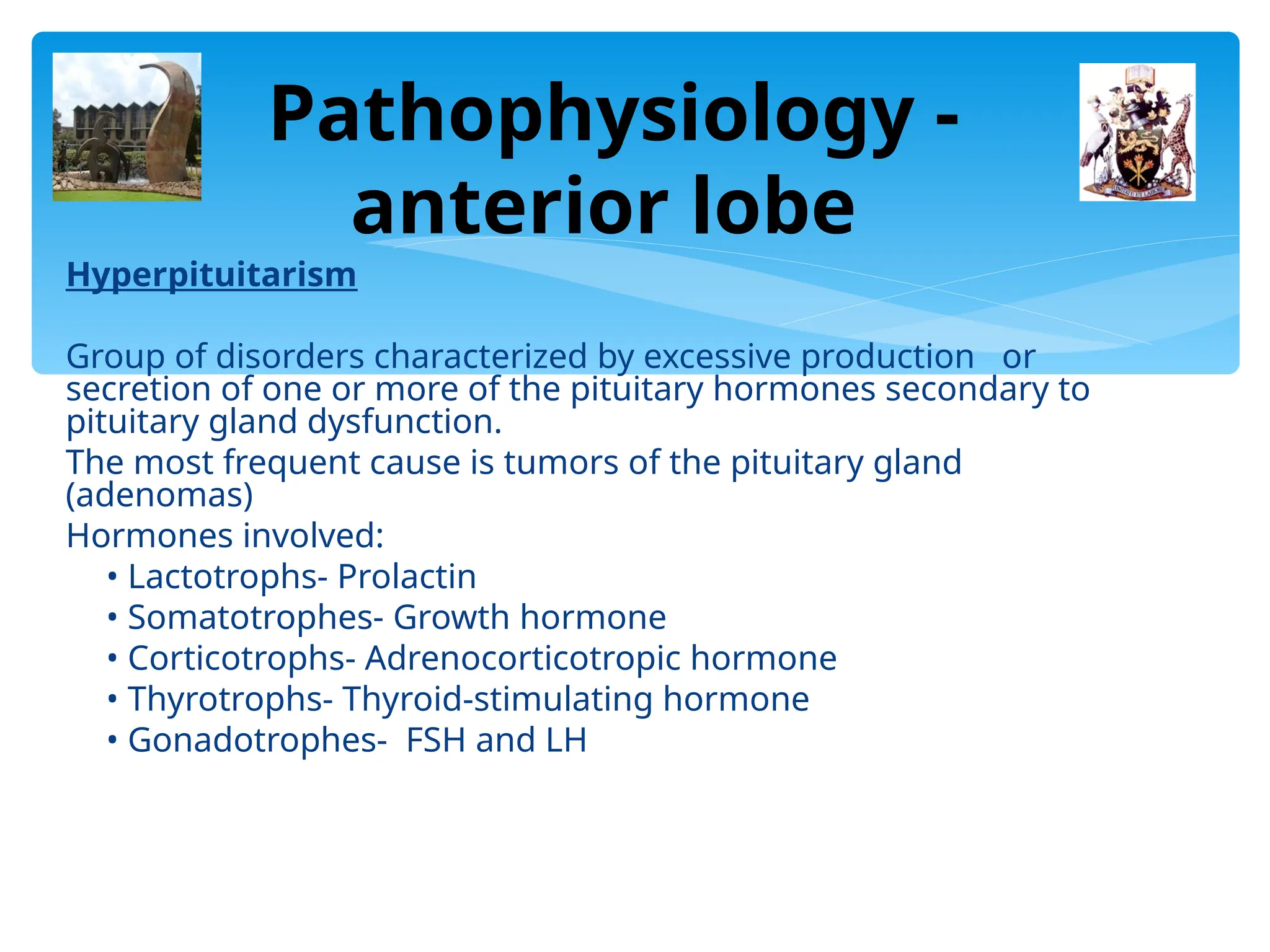 PITUITARY PATHOPHYSIOLOGY PRESENTATION.ppt