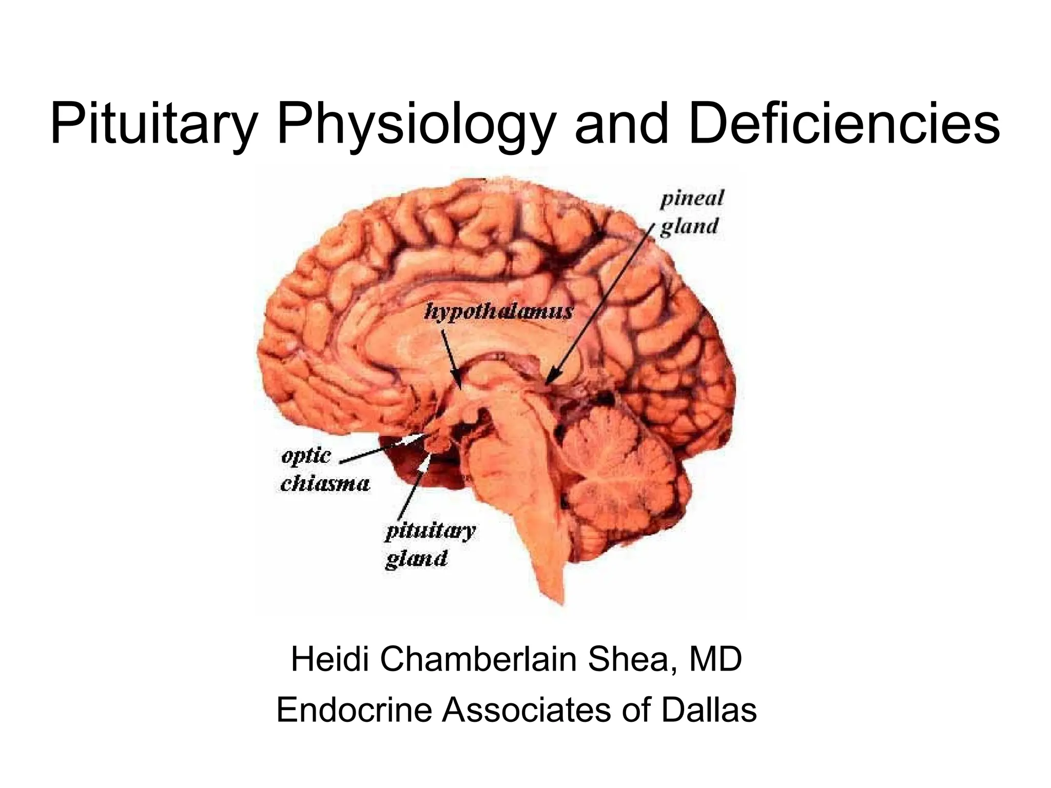 Pituitary gland is master gland of the body and requires ppt to explain ...