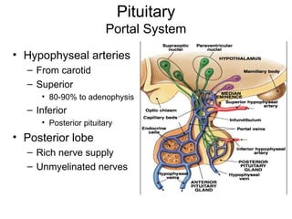 Pituitary gland is master gland of the body and requires ppt to explain ...