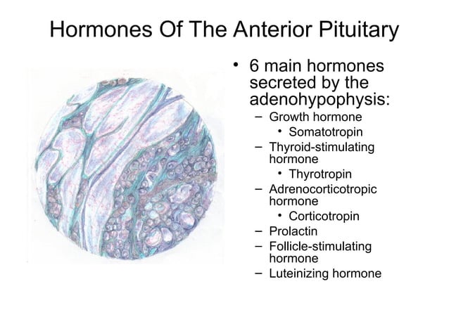 Pituitary gland is master gland of the body and requires ppt to explain ...