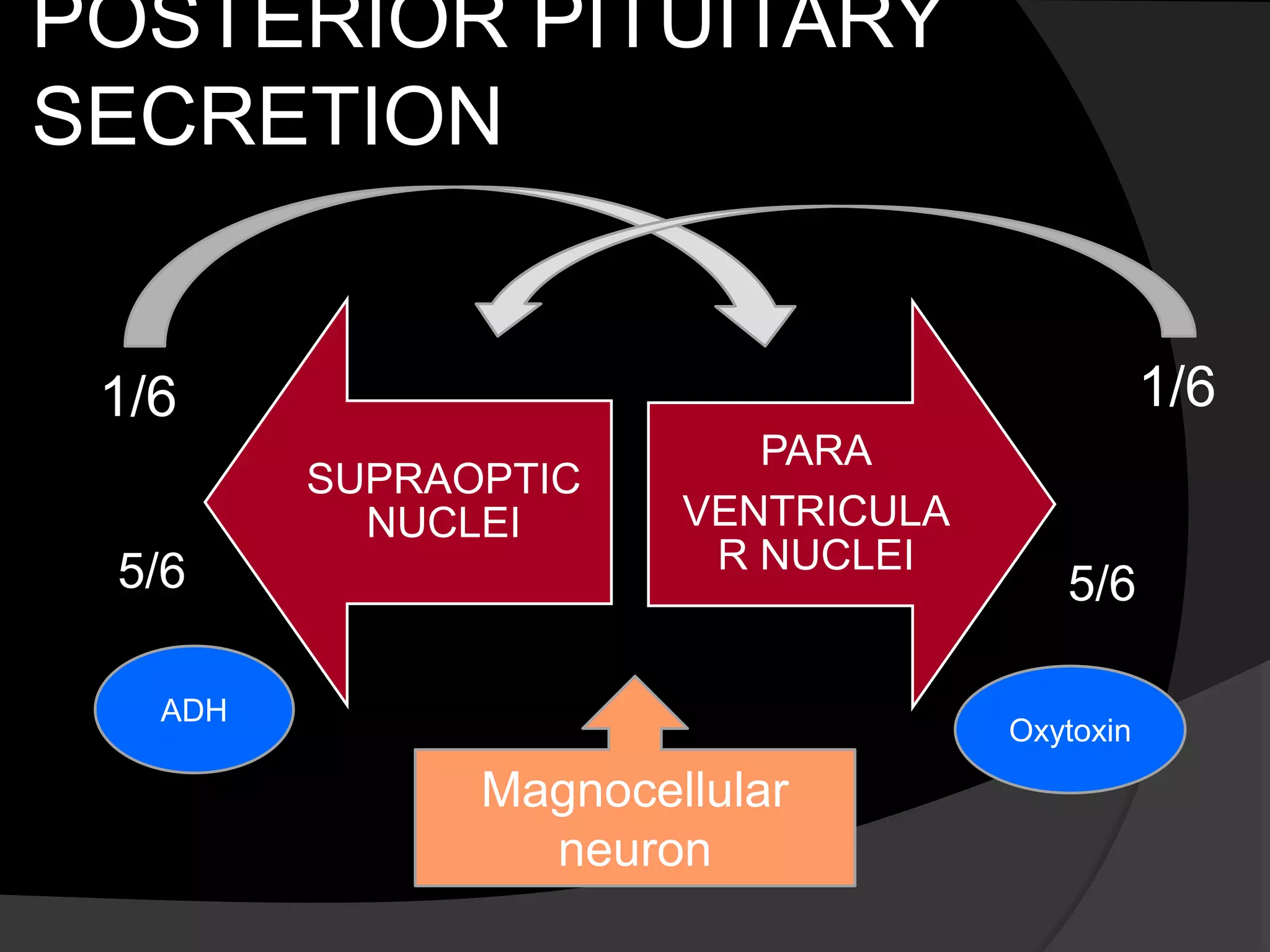 Pituitary secretion | PPT