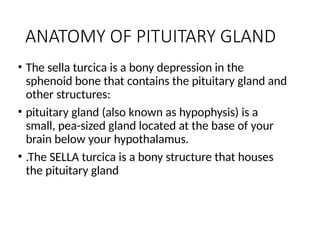 PITUITARY (SELL-WPS Office-1.pptx 1yhb866t | PPT