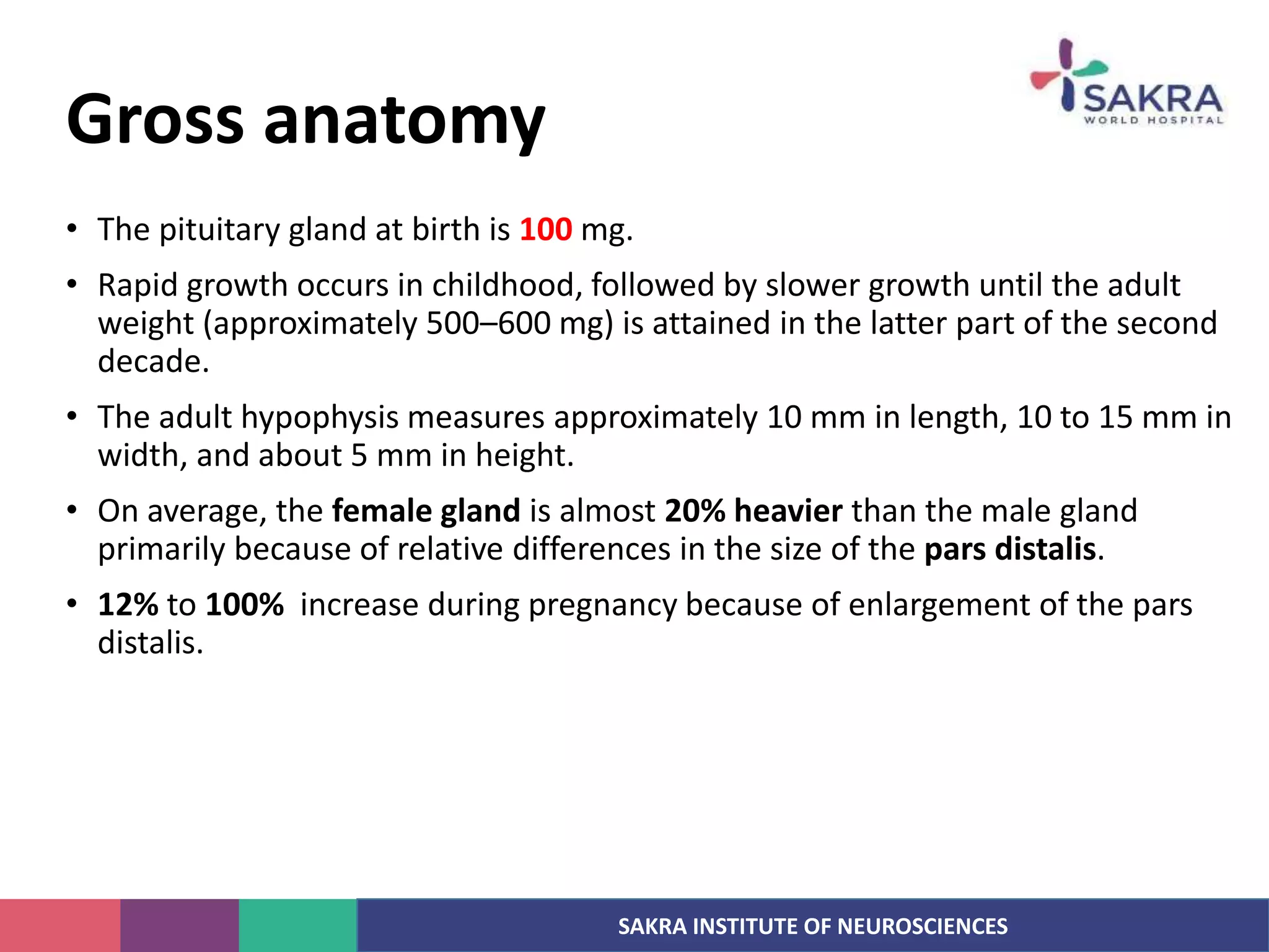 Anatomy of Pituitary | PPTX