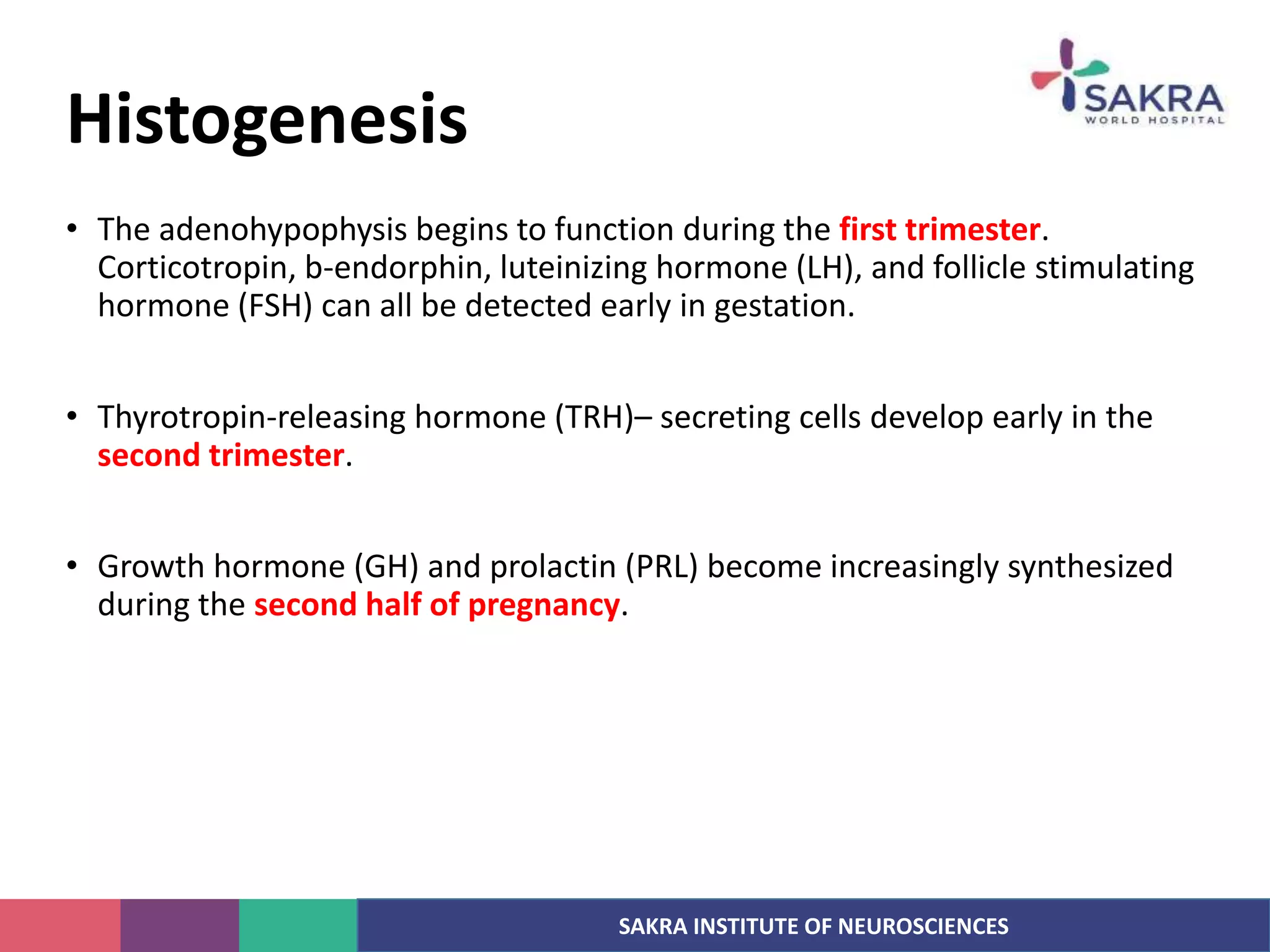 Anatomy of Pituitary | PPTX