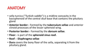 PITUITARY TUMORS | PPTX