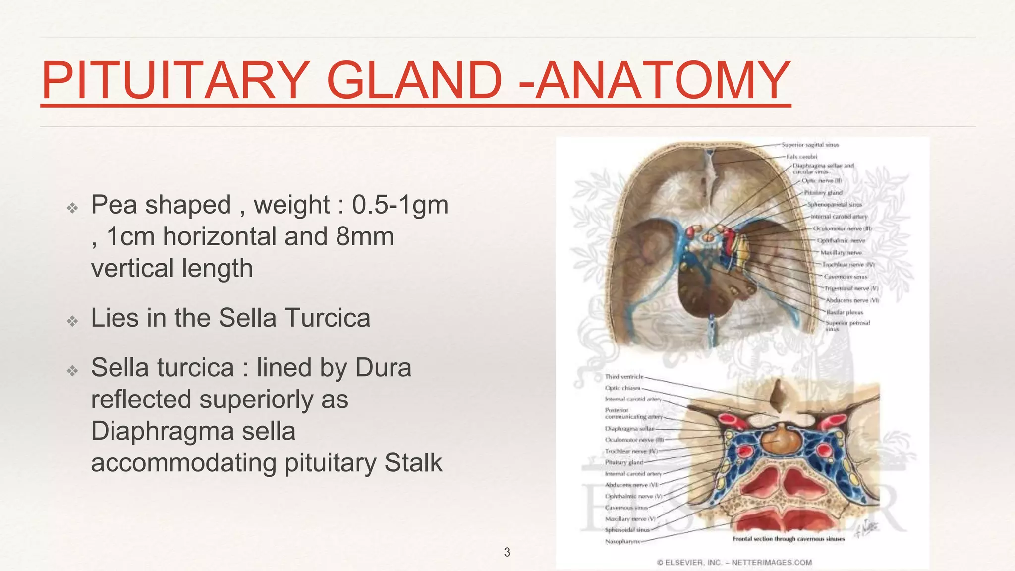 Pituitary tumors and Anaesthetic implications | PPTX