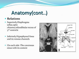 Pituitary tumours | PPTX