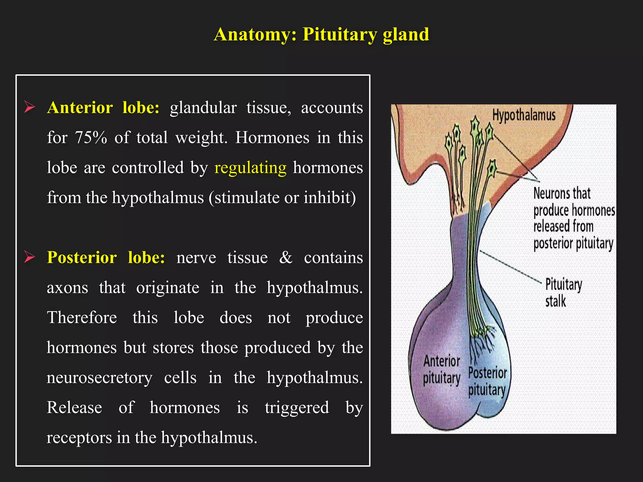 Pituitory gland | PPT