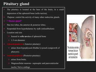 Pituitory gland | PPT
