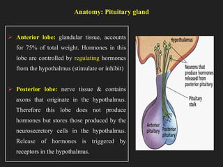 Pituitory gland | PPT