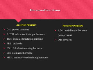 Pituitory gland | PPT