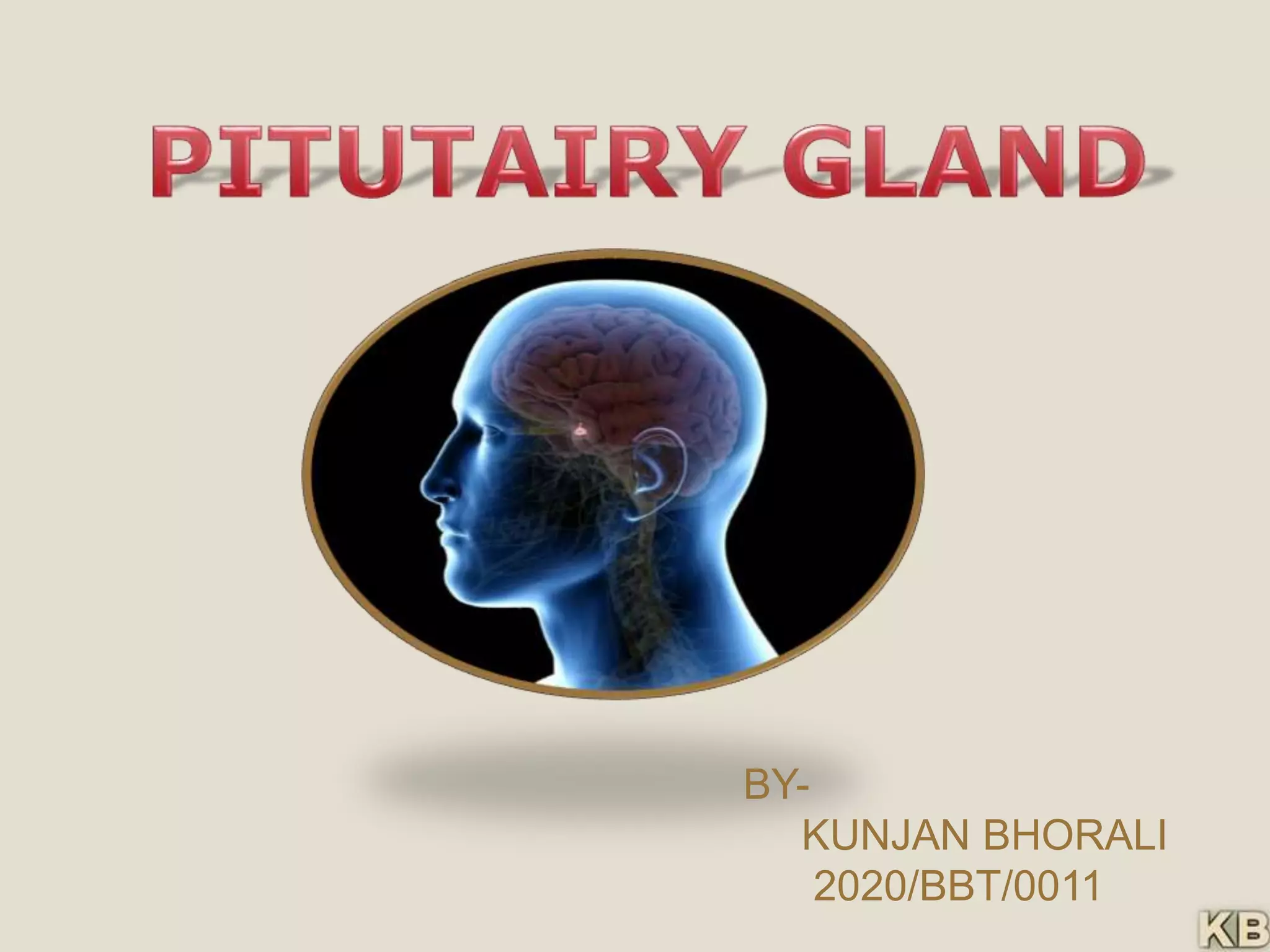 Pitutary glad and its diseases | PPTX | Endocrine and Metabolic ...
