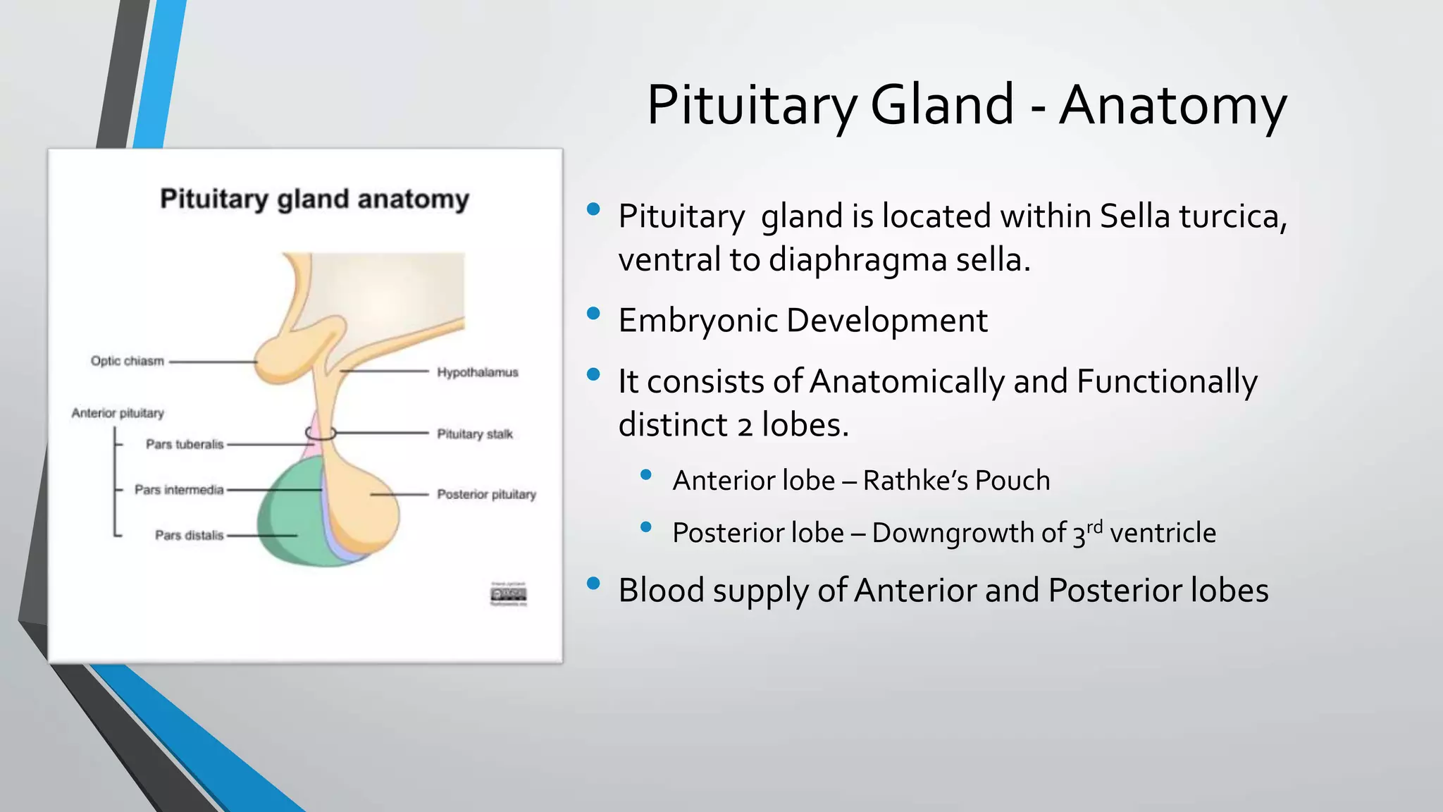 Pitutary gland : A Medical Approach | PPT