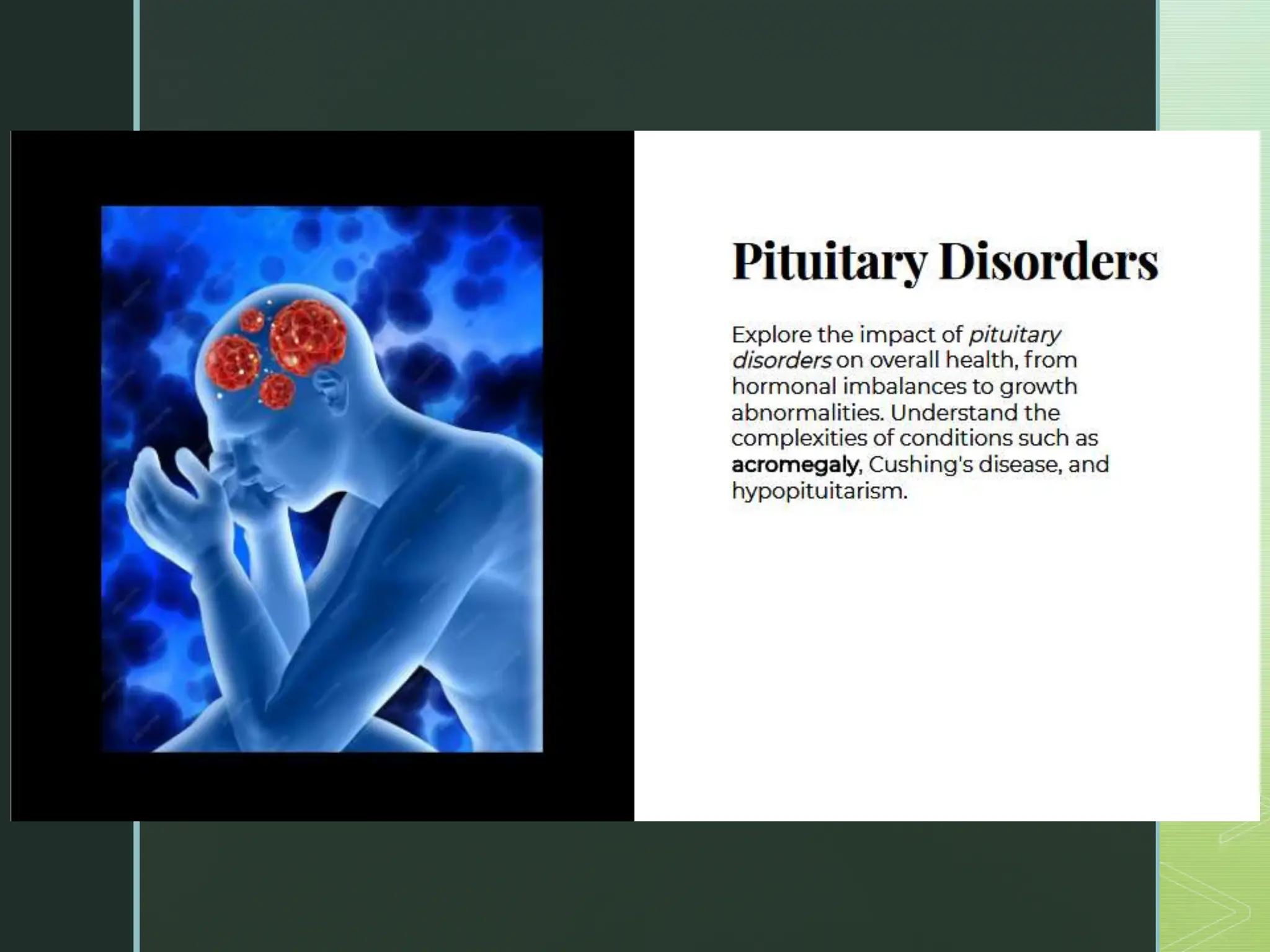 pitutary gland for students usedppt.pptx