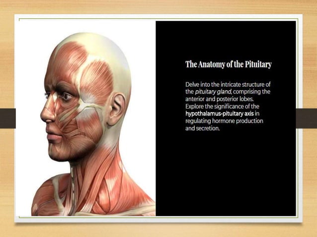 pitutary gland for students usedppt.pptx