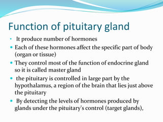 Pitutory gland | PPT