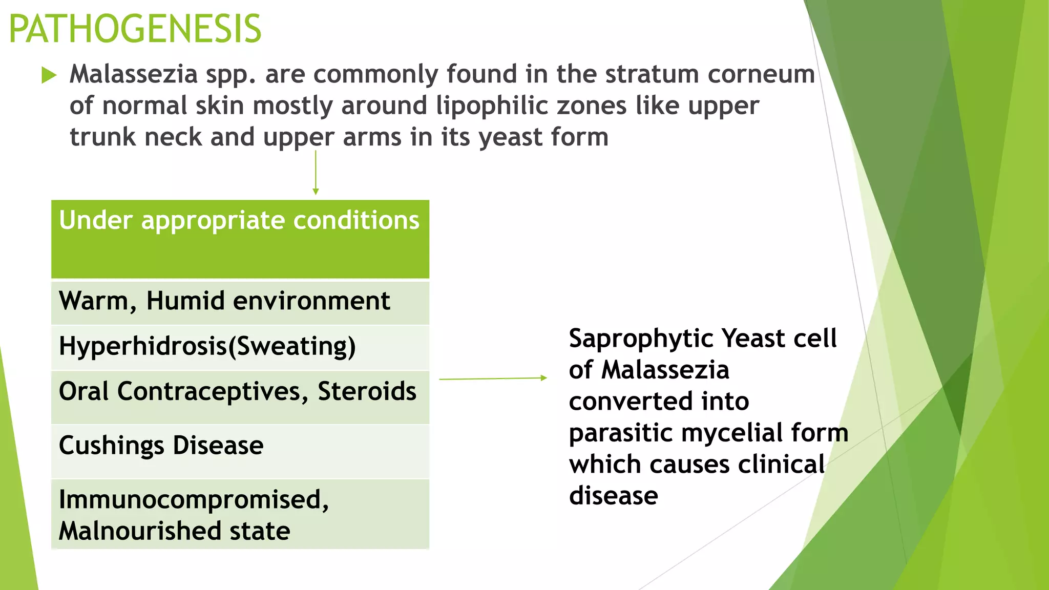 Pityriasis versicolor | PPTX