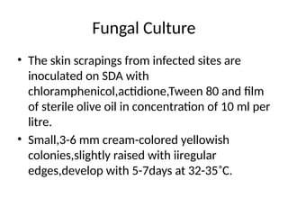 PITYRIASIS VERSICOLOR- types and treatment | PPTX