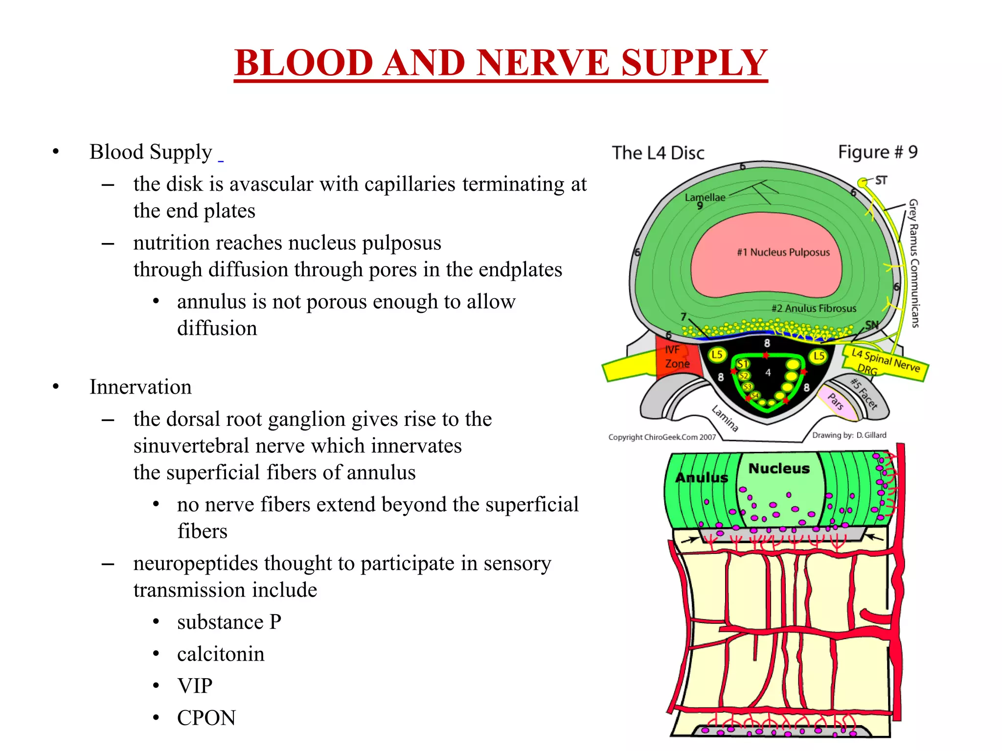 INTERVERTEBRAL DISC ANATOMY AND PIVD OF LUMBAR SPINE AND ITS MANAGEMENT ...