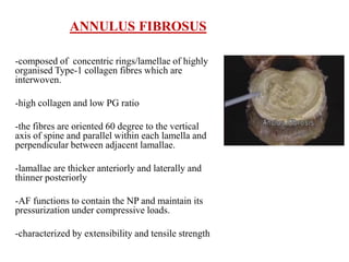 INTERVERTEBRAL DISC ANATOMY AND PIVD OF LUMBAR SPINE AND ITS MANAGEMENT ...