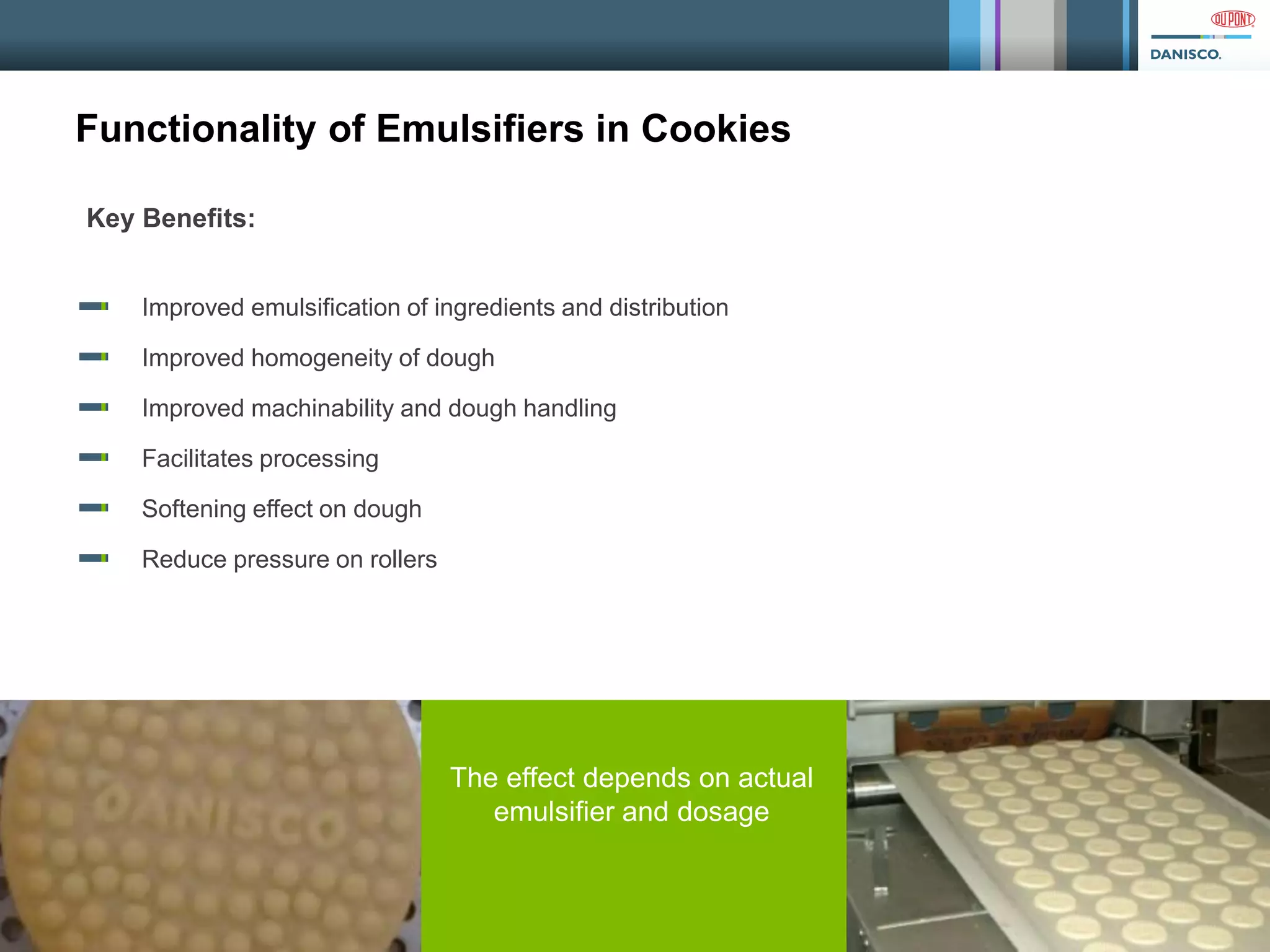 Overcoming Challenges: Pivotal roles of functional ingredients in ...