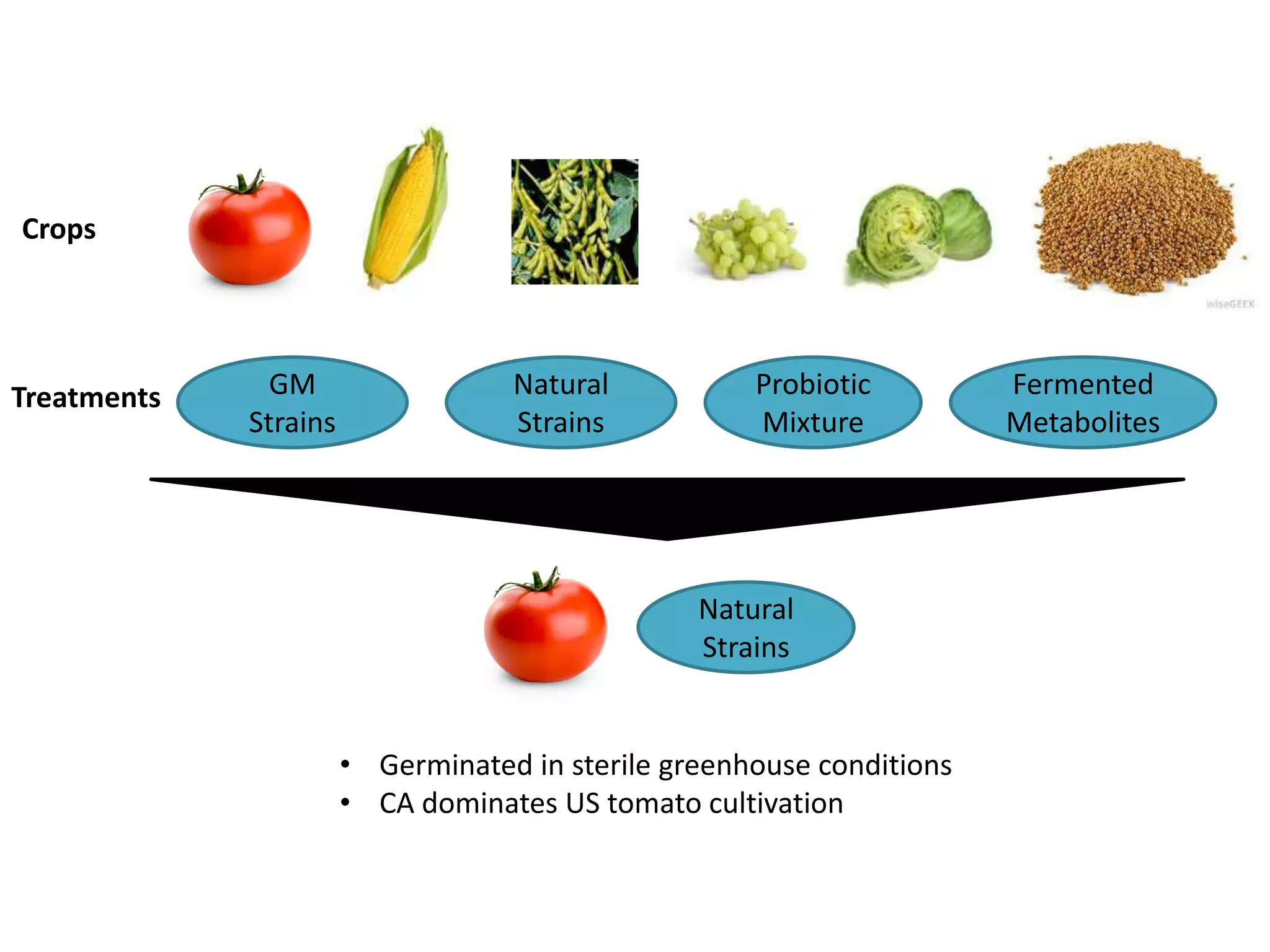 Pivot bio final presentation | PPTX | Agriculture | Industries