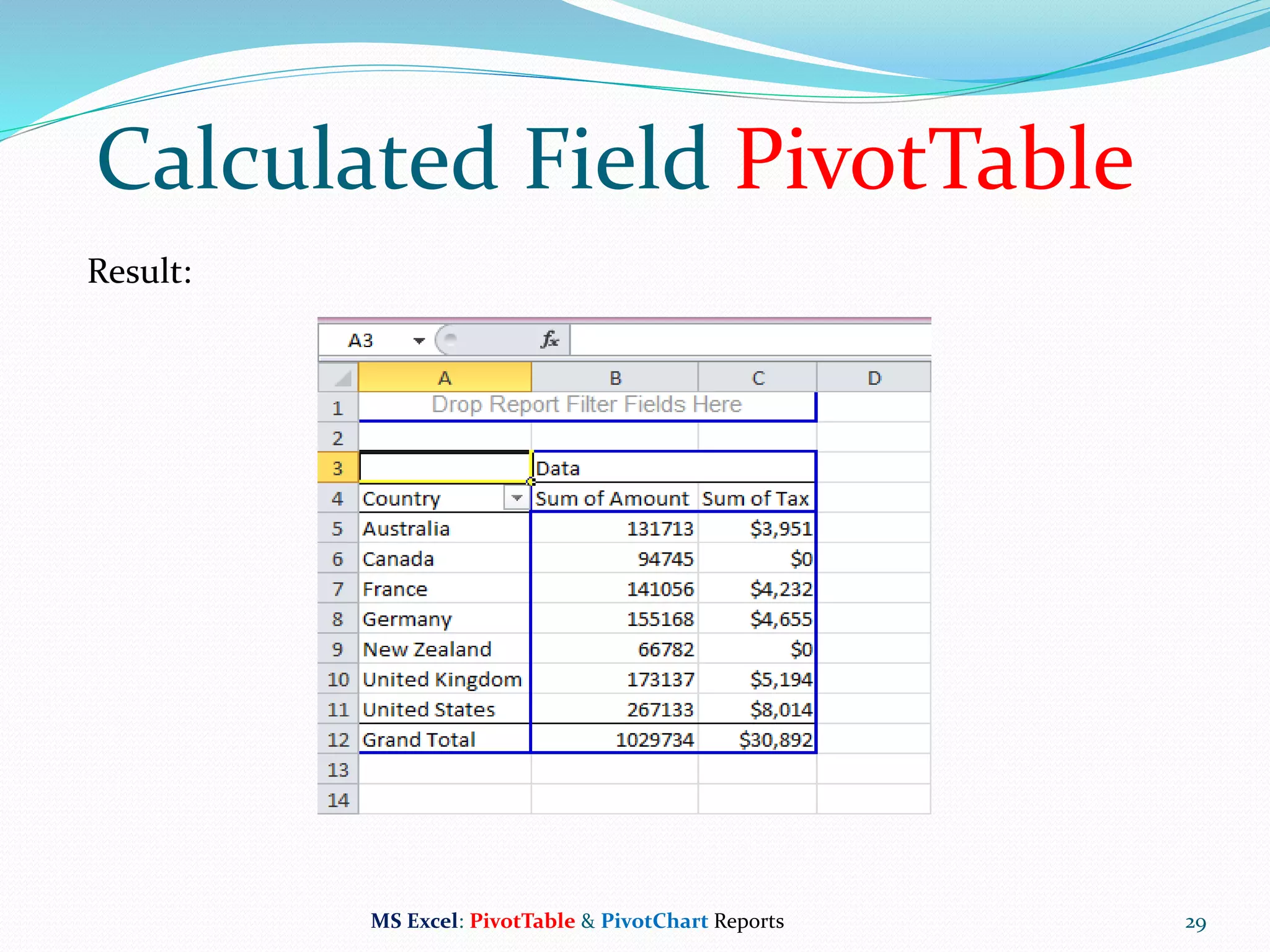 MS Excel Pivot Table Reports & Charts | PPTX