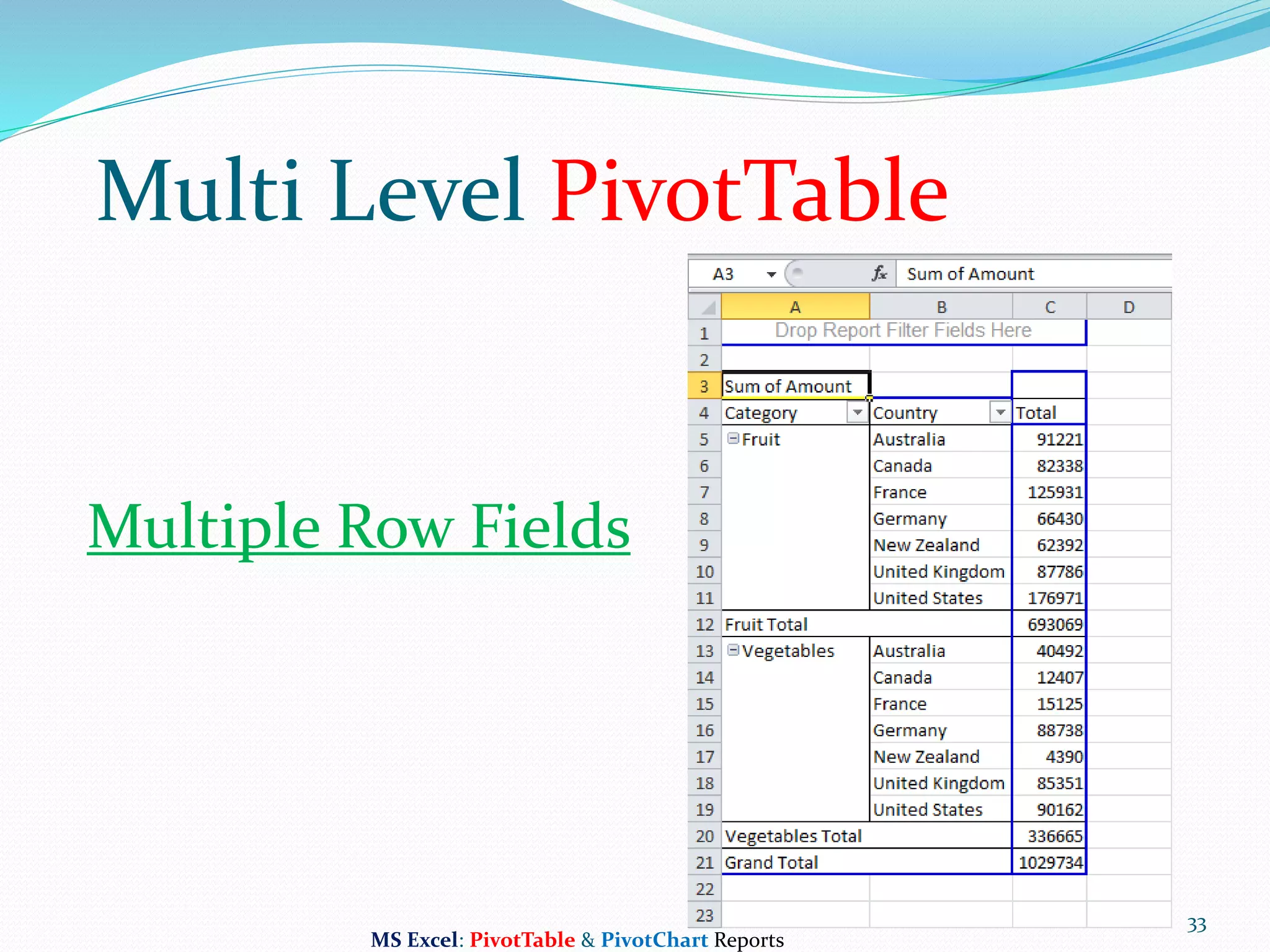 MS Excel Pivot Table Reports & Charts | PPTX